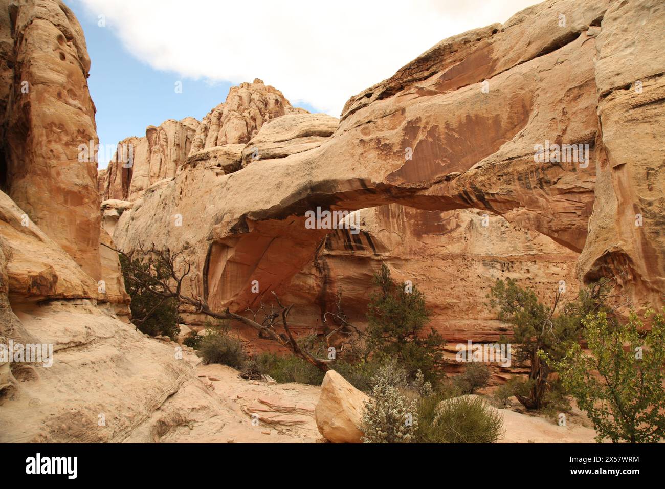 Hickman Natural Bridge in Capitol Reef National Park, Utah Stock Photo ...