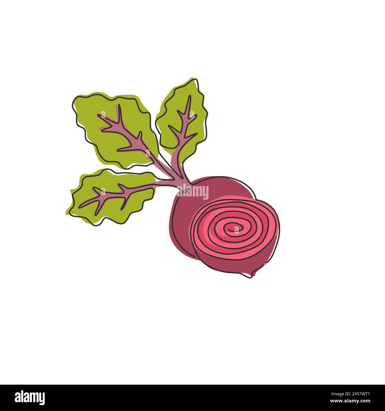 One single line drawing whole and half sliced healthy organic beetroot ...