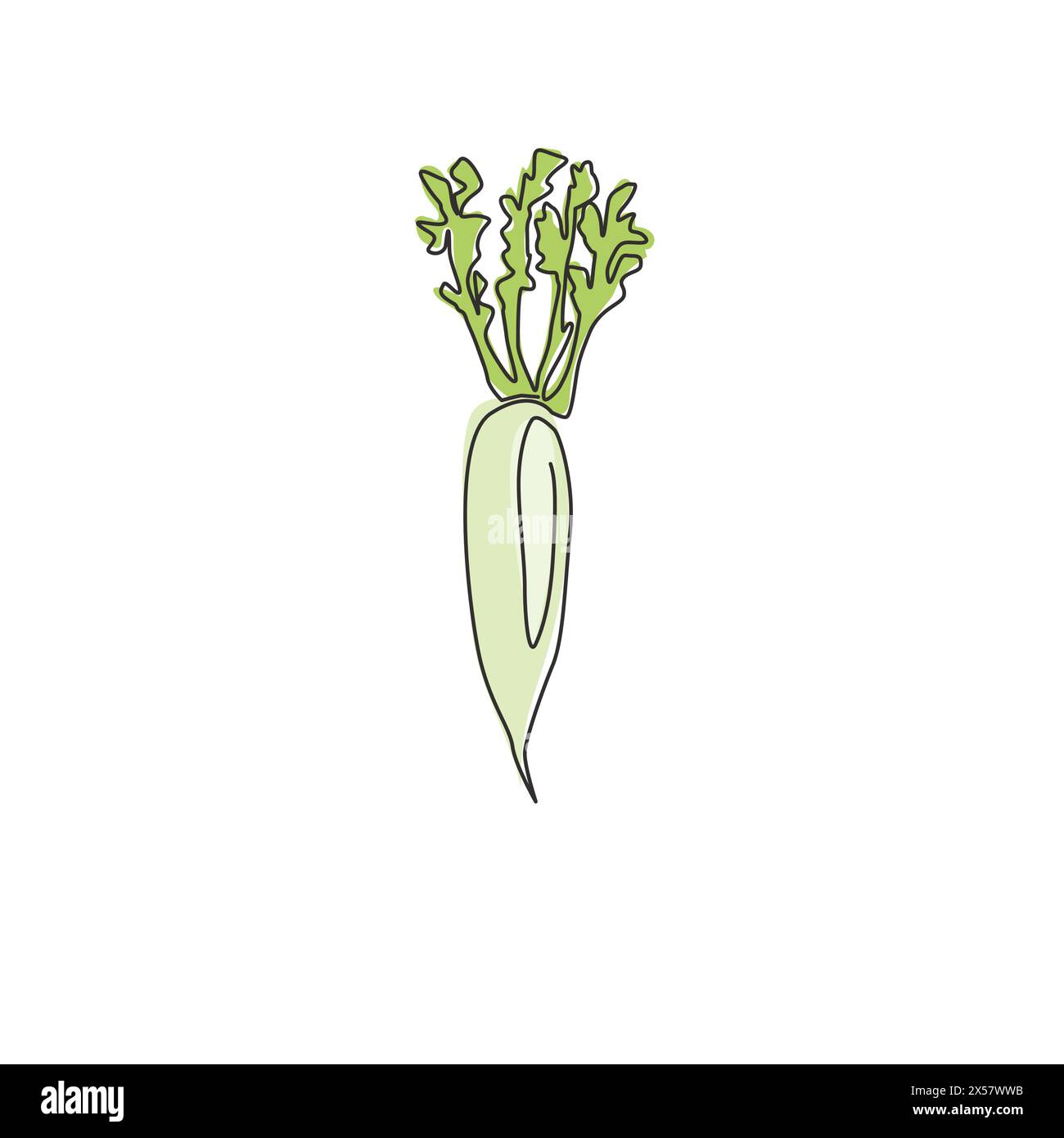 One single line drawing of whole healthy organic white radish for farm ...