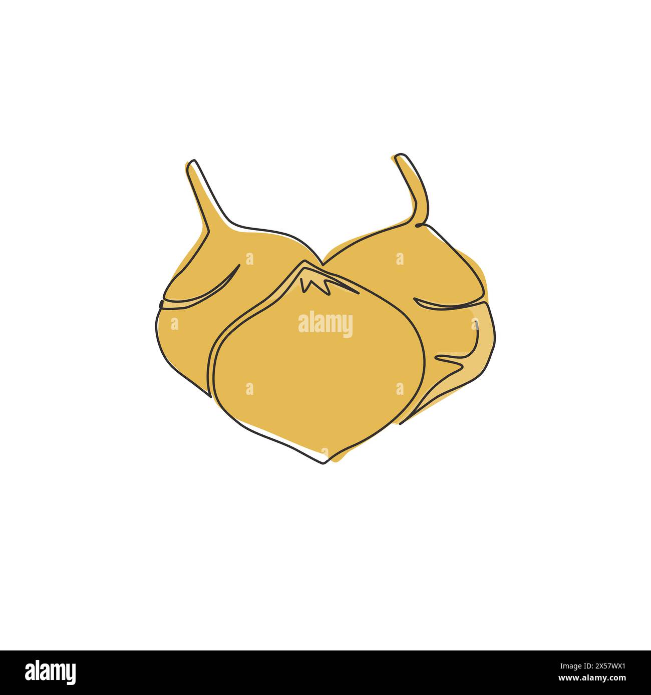 One continuous line drawing of whole healthy organic jicama for orchard ...