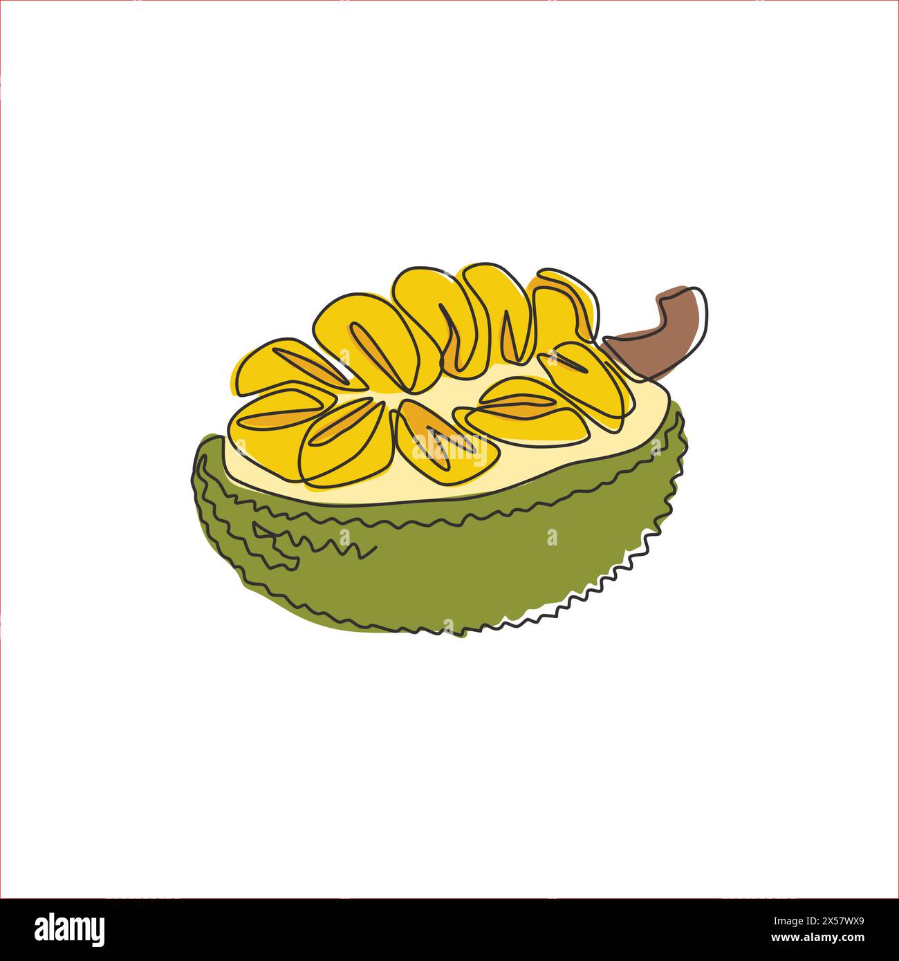 Jackfruit tree illustration hi-res stock photography and images - Alamy