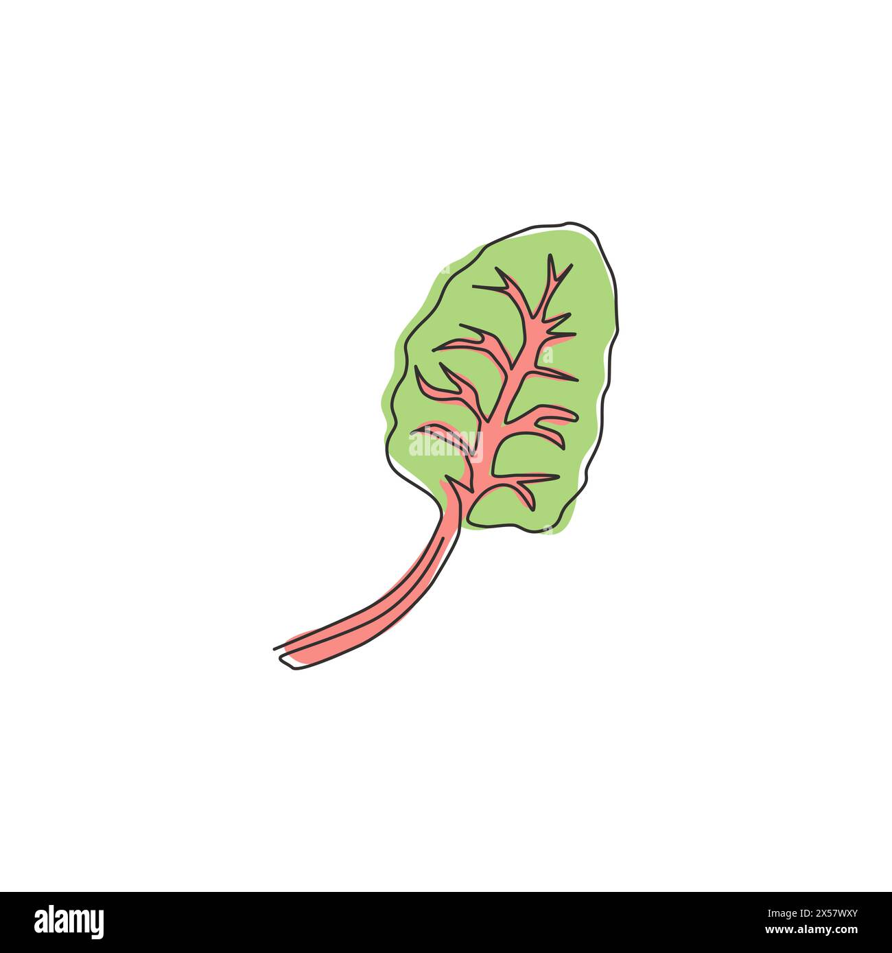 Single continuous line drawing of whole healthy organic swiss chard for ...