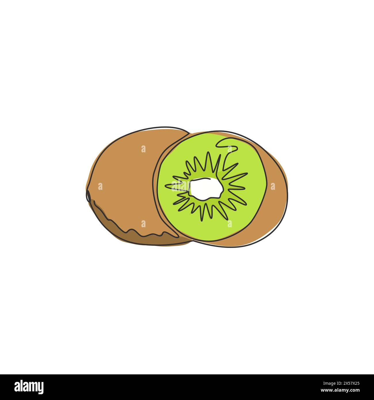 Kiwi slice line drawing Cut Out Stock Images & Pictures - Alamy
