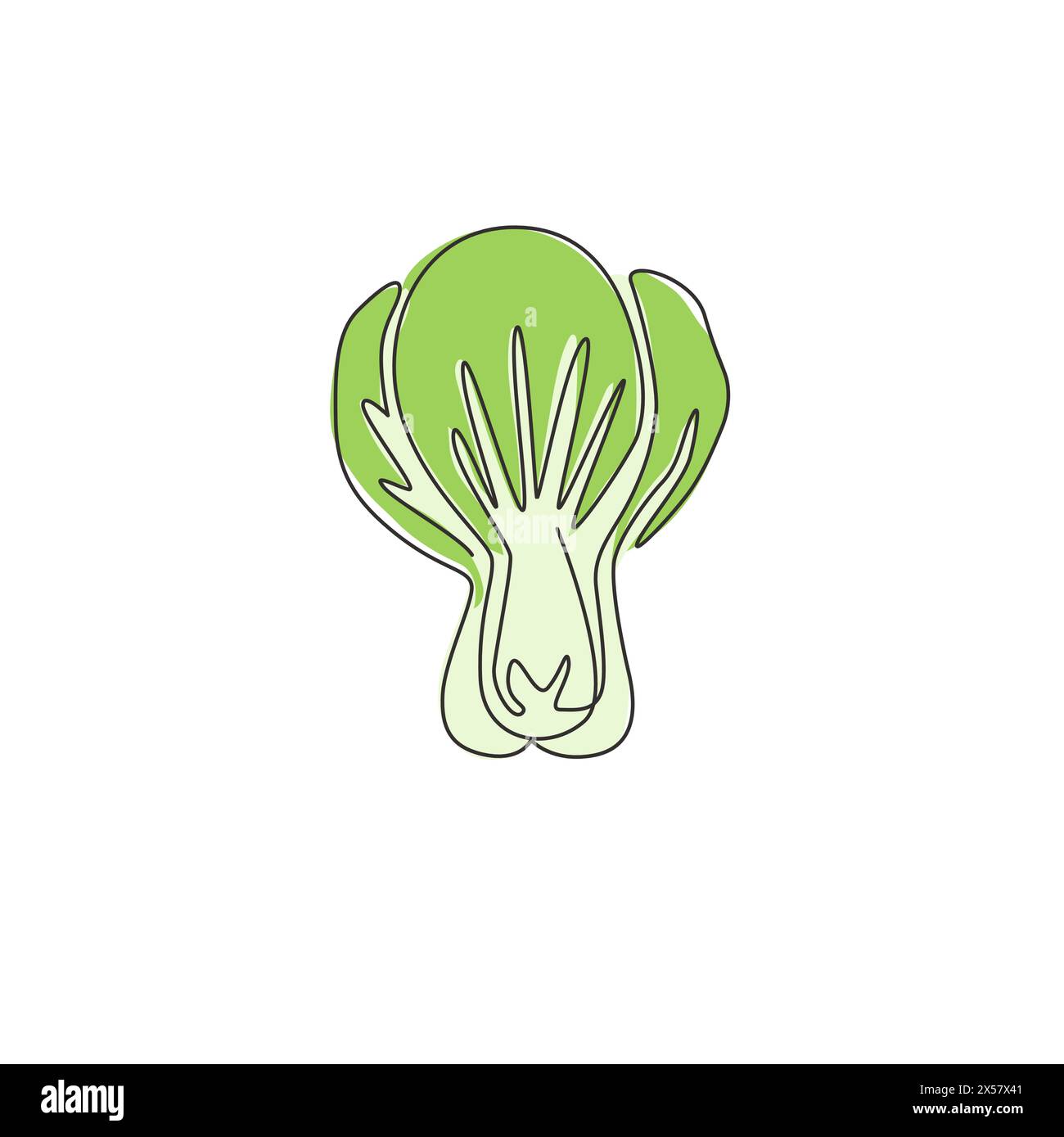 China pak Stock Vector Images - Alamy