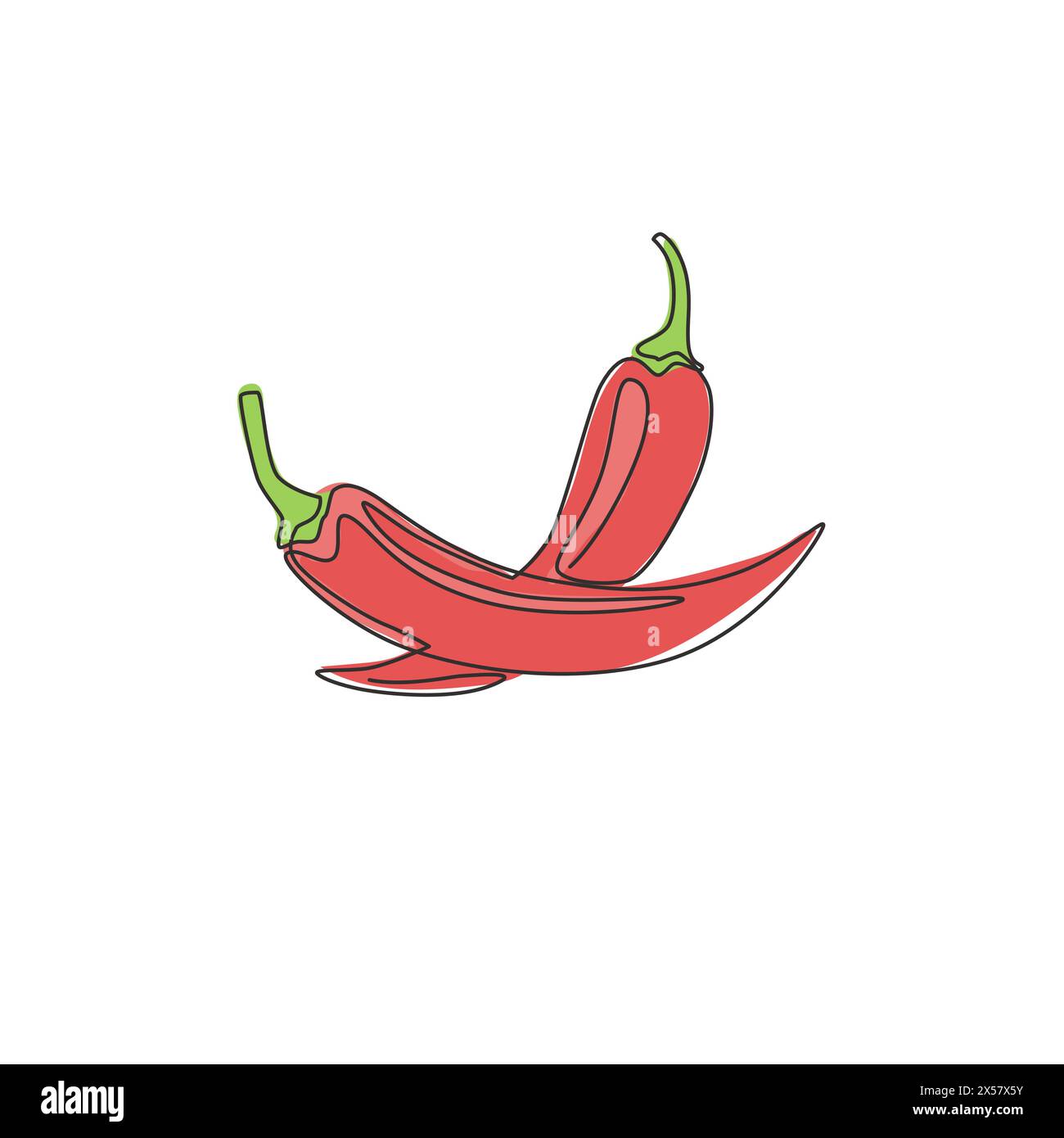 Chili plant drawing hi-res stock photography and images - Alamy