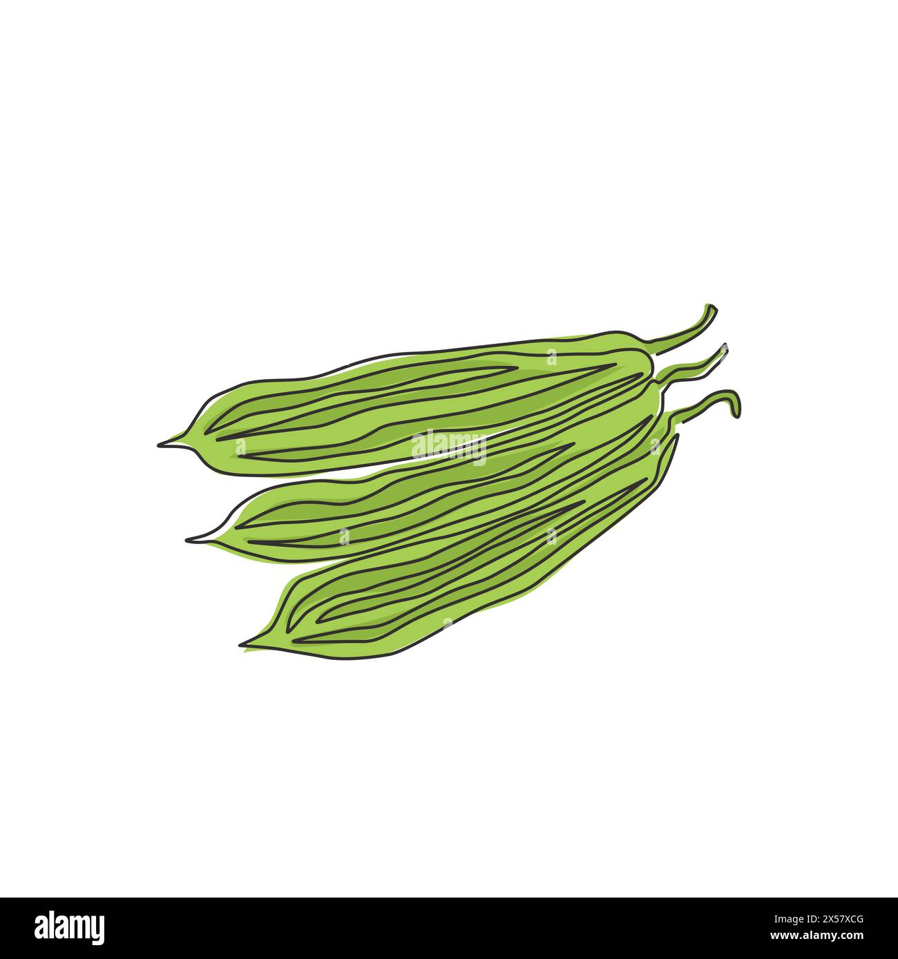 One continuous line drawing of whole healthy organic sponge gourd for ...