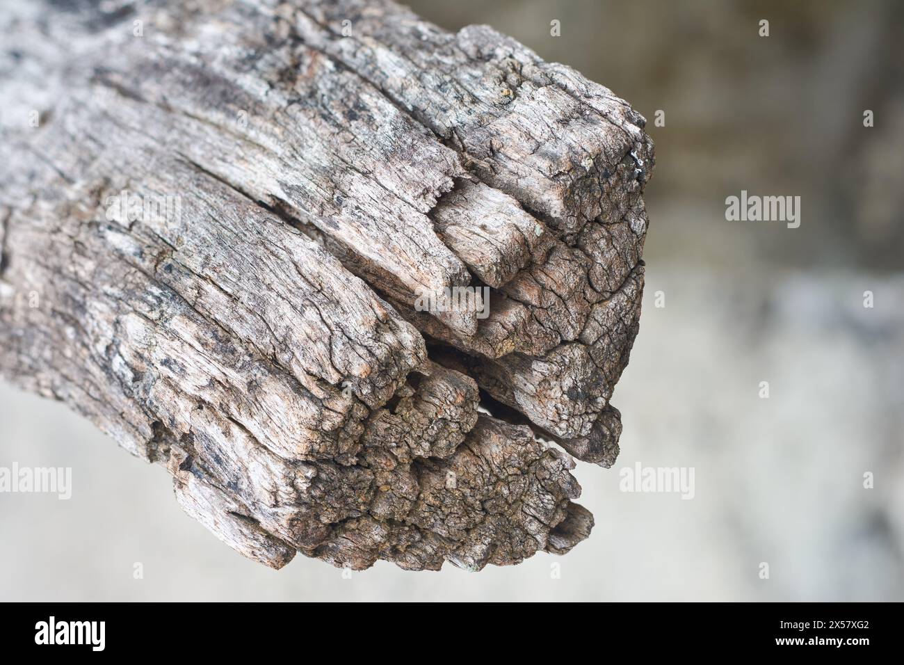 Exposed wooden exterior hi-res stock photography and images - Alamy