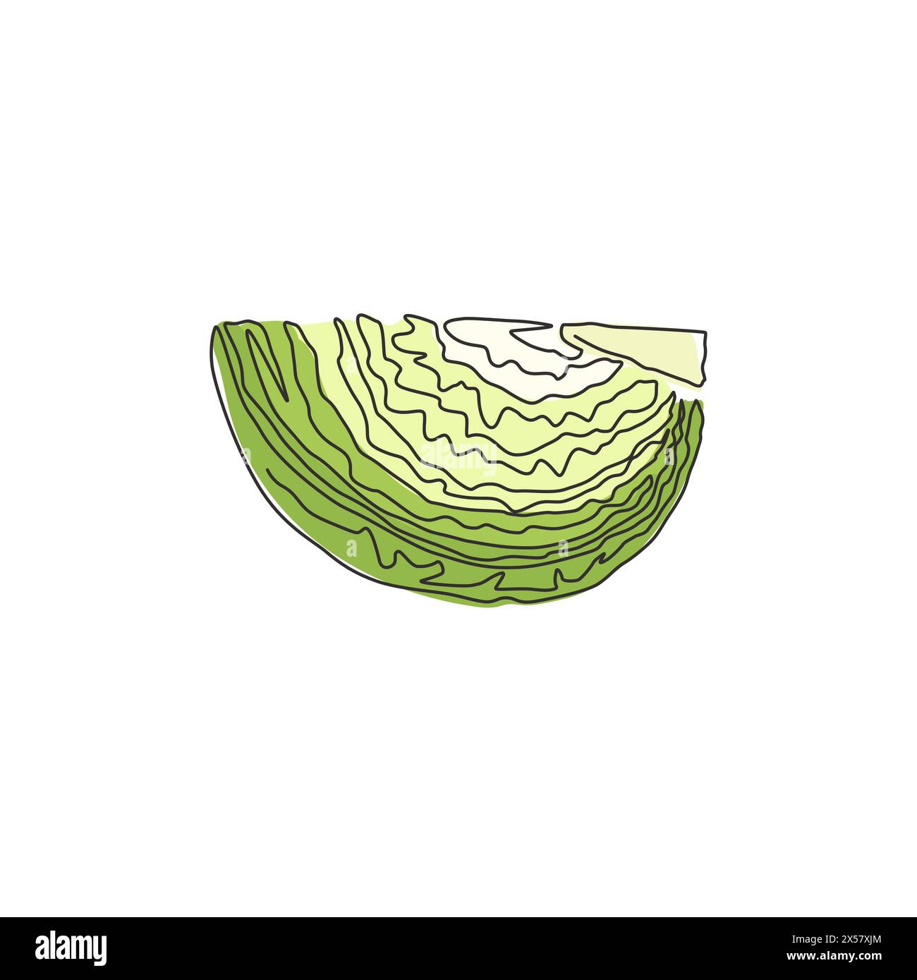 One single line drawing cut sliced healthy organic headed cabbage for ...