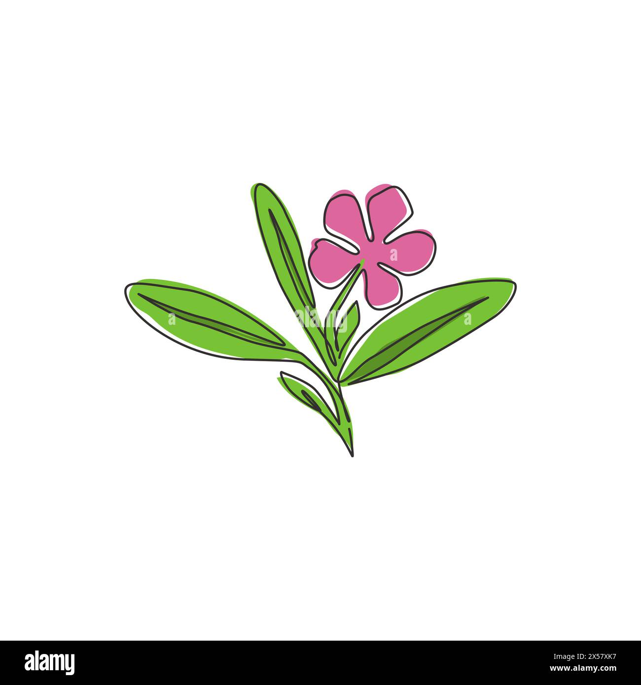 Single continuous line drawing of beauty fresh periwinkle for garden ...