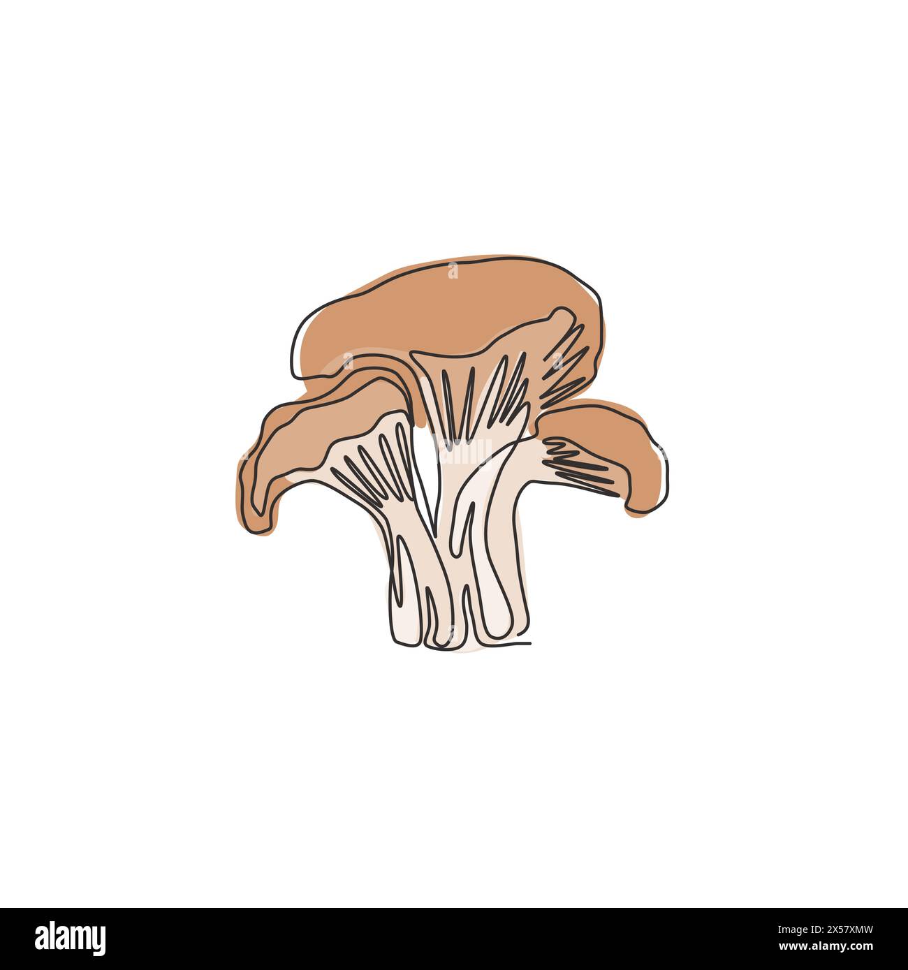 Doodle fungus natural vegetable Cut Out Stock Images & Pictures - Alamy