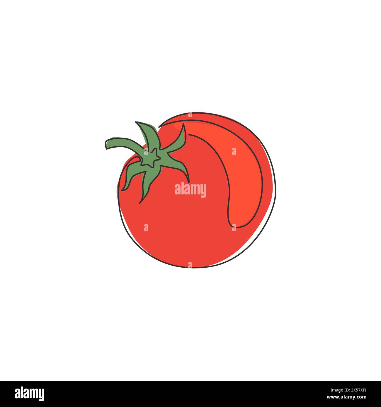 Single one line drawing whole healthy organic tomato for farming logo ...
