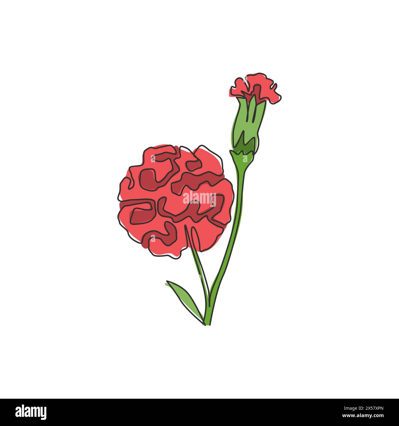 Single Continuous Line Drawing Of Beauty Fresh Carnation For Garden