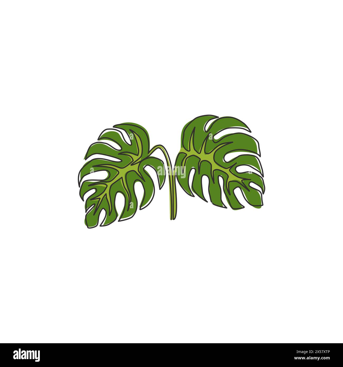 Single continuous line drawing cute exotic tropical leaves monstera ...