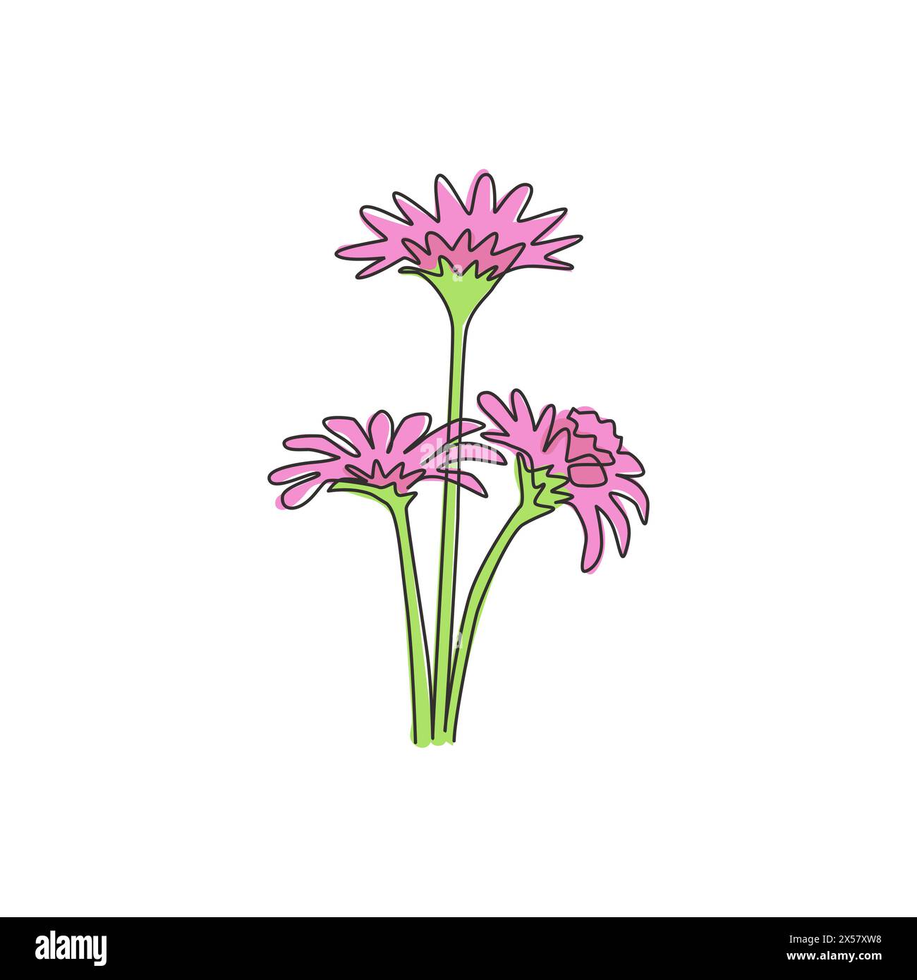 Single continuous line drawing of beauty fresh asteraceae for garden ...