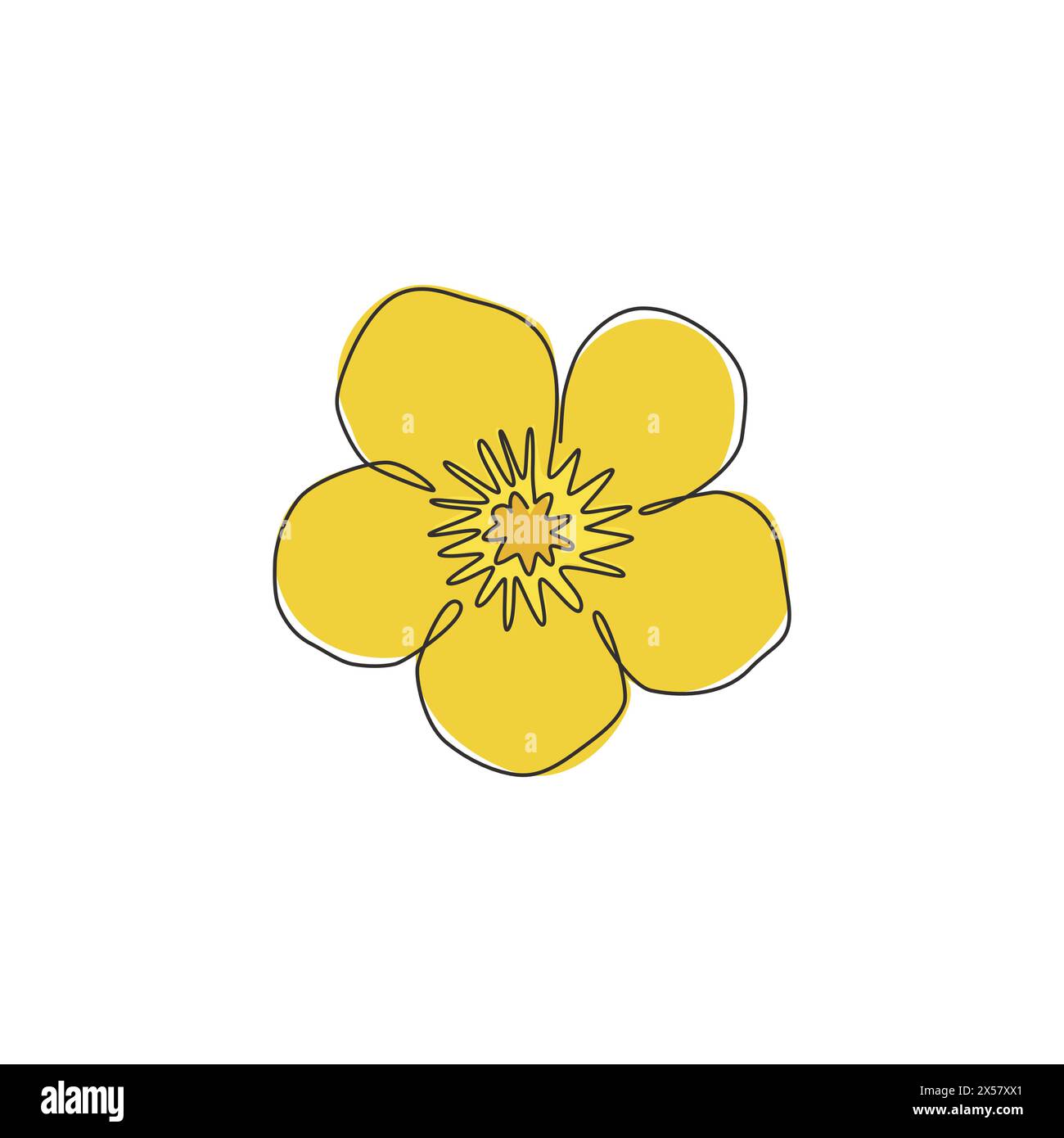One Continuous Line Drawing Beauty Buttercup Fresh Top View For Home