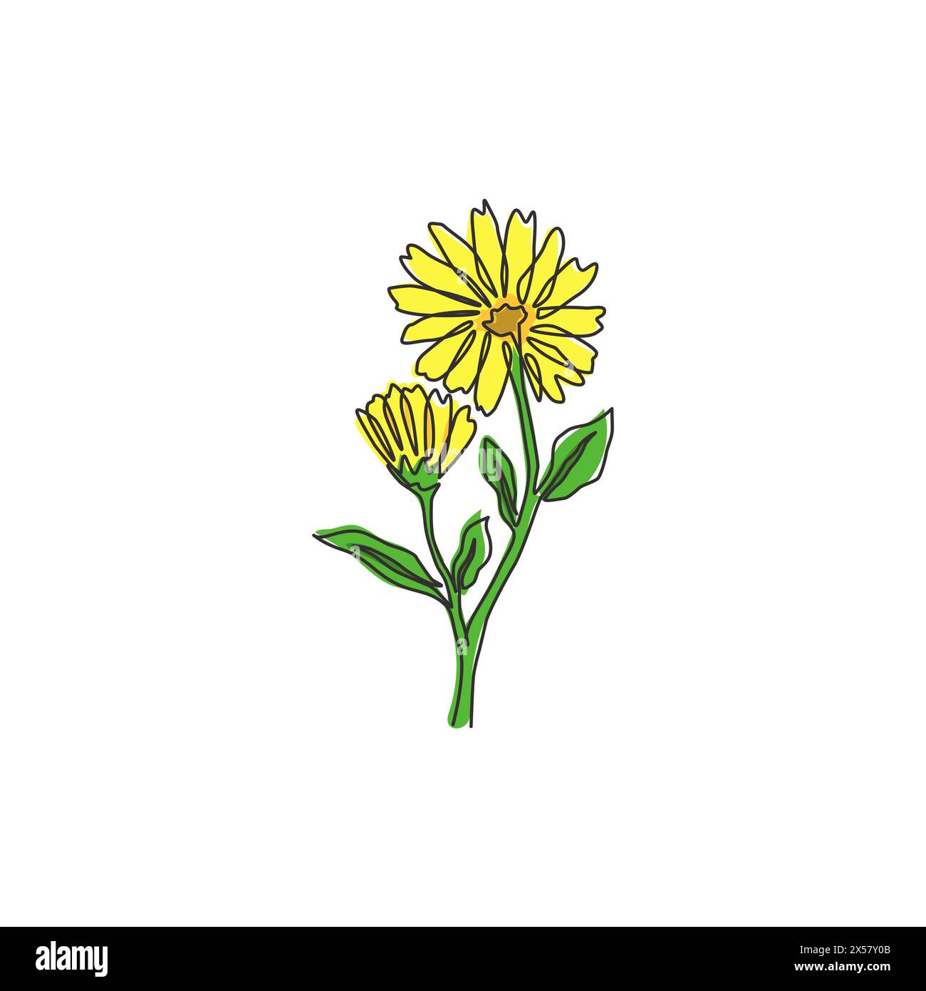 One continuous line drawing of beauty fresh calendula for garden logo ...