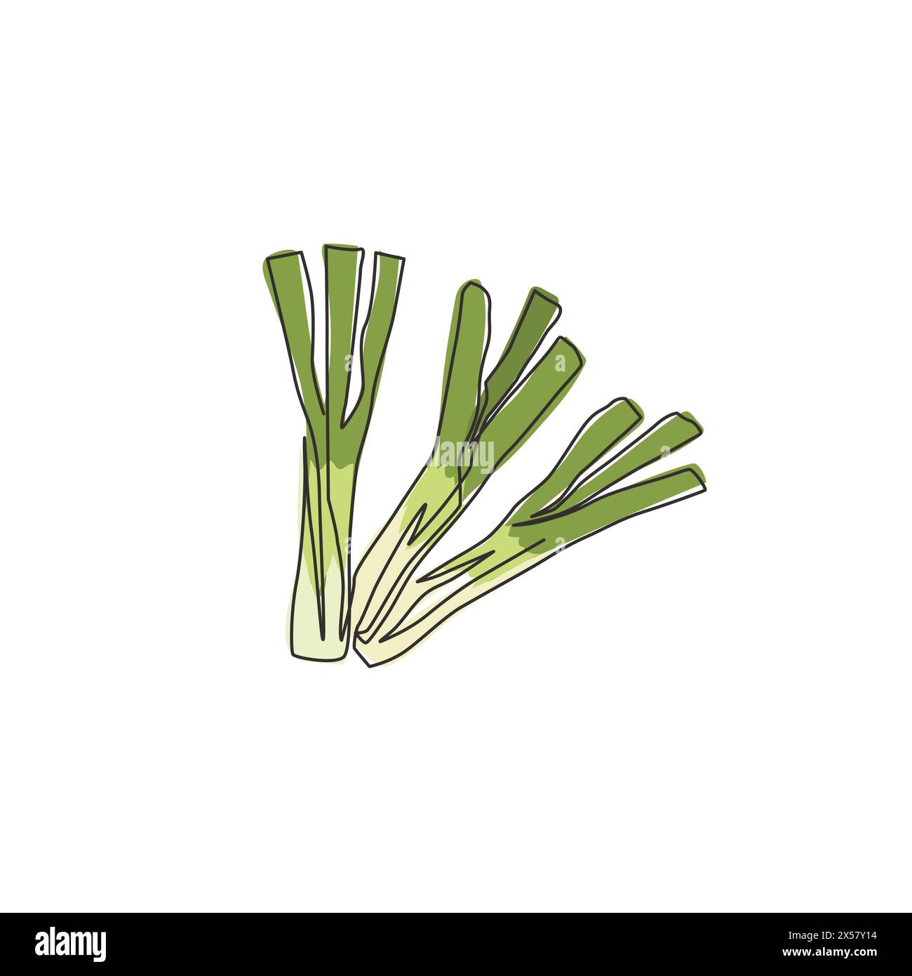 Leek vector vectors hi-res stock photography and images - Alamy