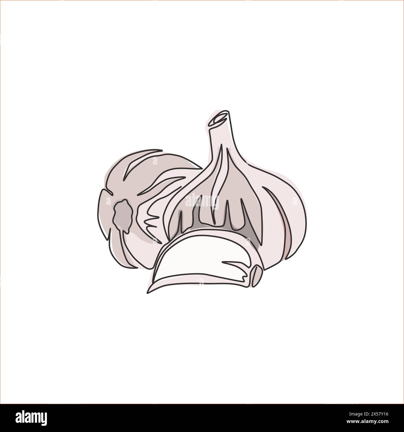 One continuous line drawing of whole healthy organic garlic for ...
