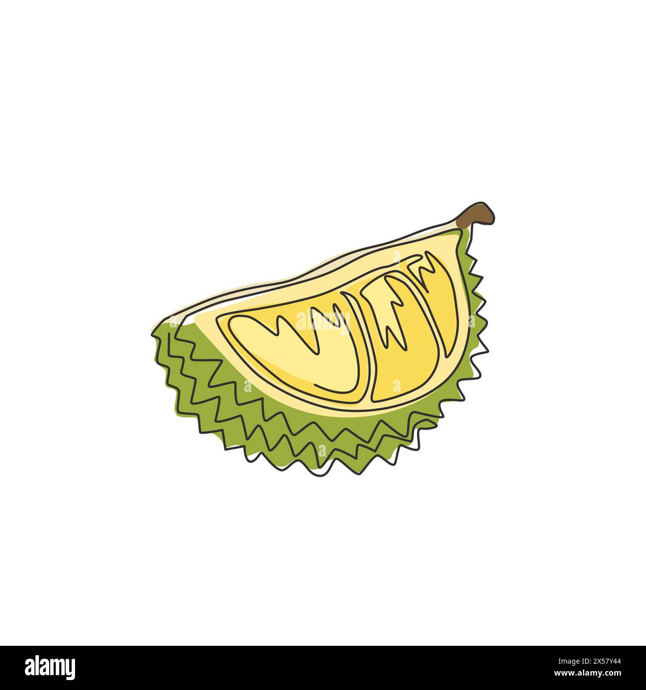 Durian line drawing hi-res stock photography and images - Alamy