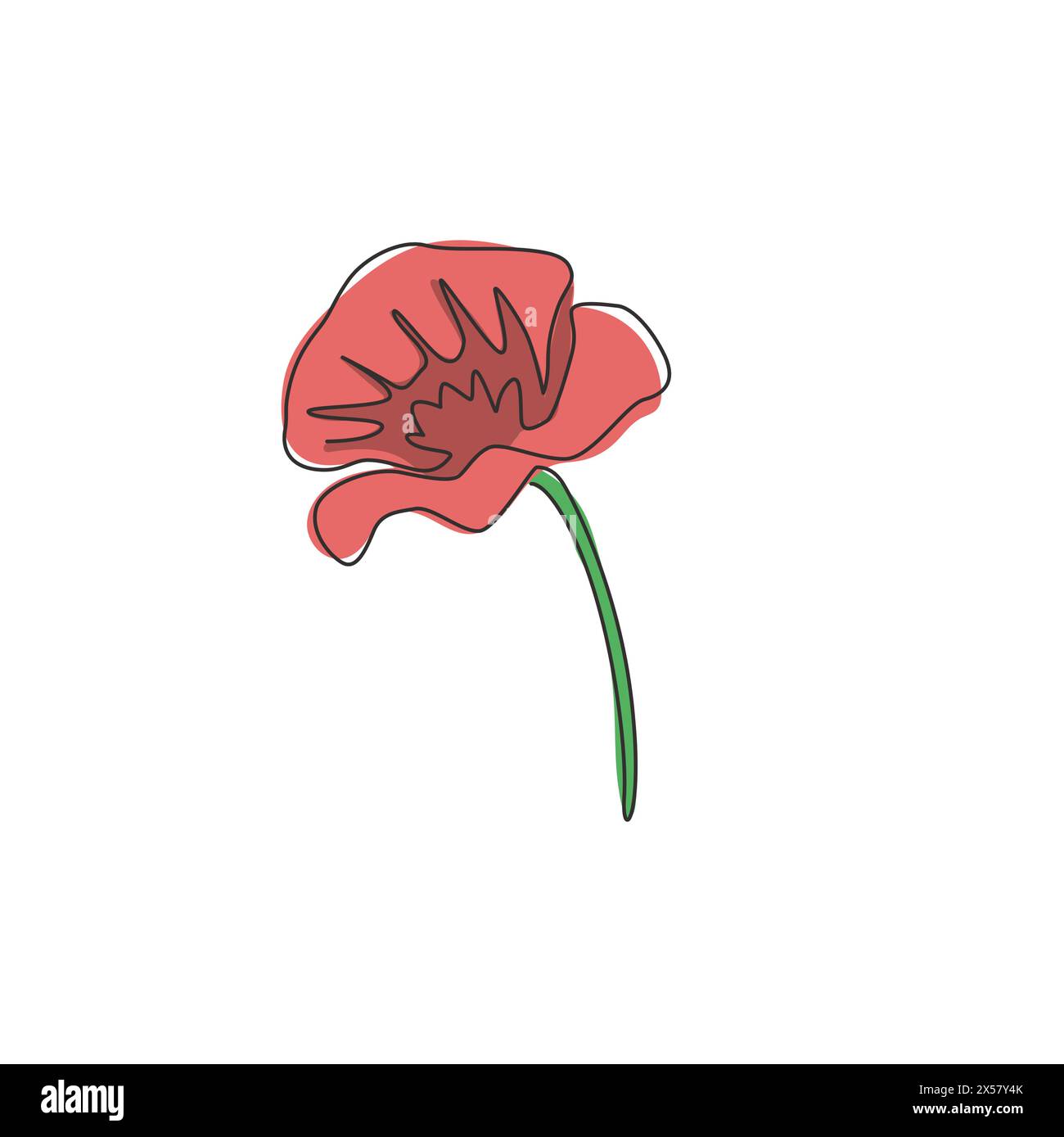 Single wild poppy flower Stock Vector Images - Alamy