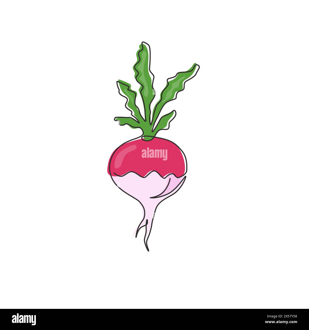 One continuous line drawing of whole healthy organic white turnip for ...