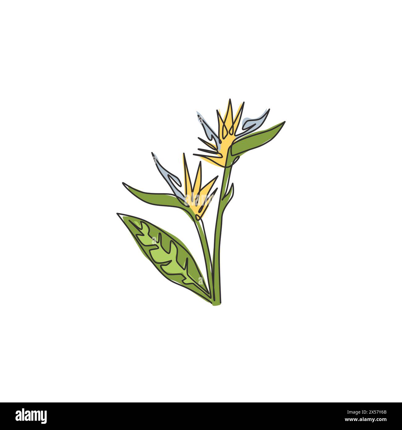 One Continuous Line Drawing Beauty Fresh Strelitzia For Home Art Wall