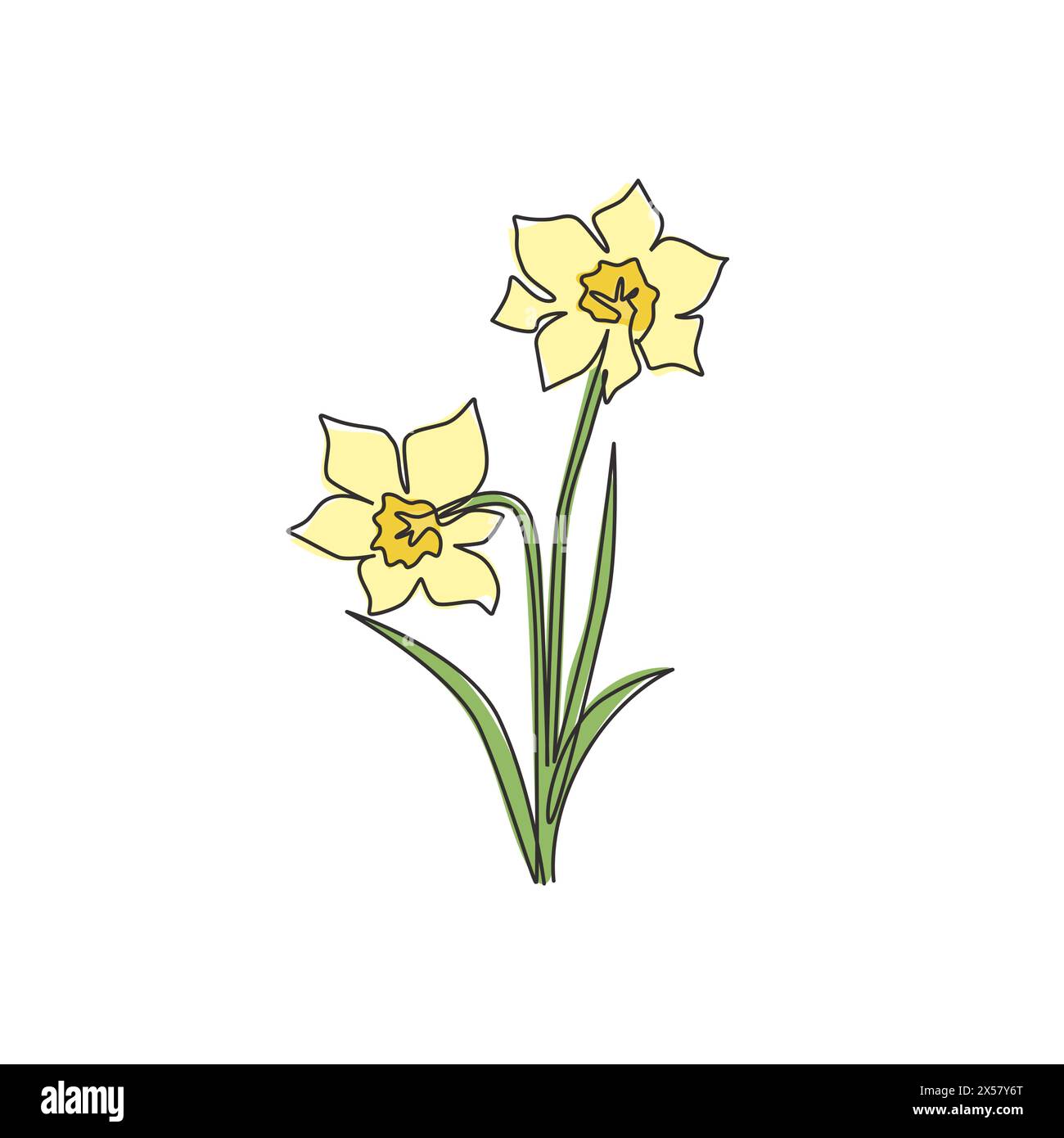 One Single Line Drawing Of Beauty Fresh Narcissus For Garden Logo