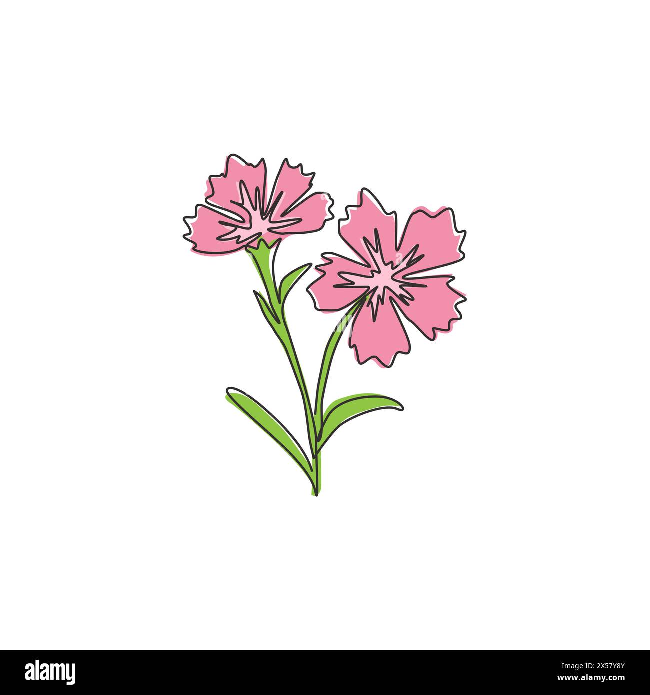 Single one line drawing of beauty fresh dianthus for home wall decor ...