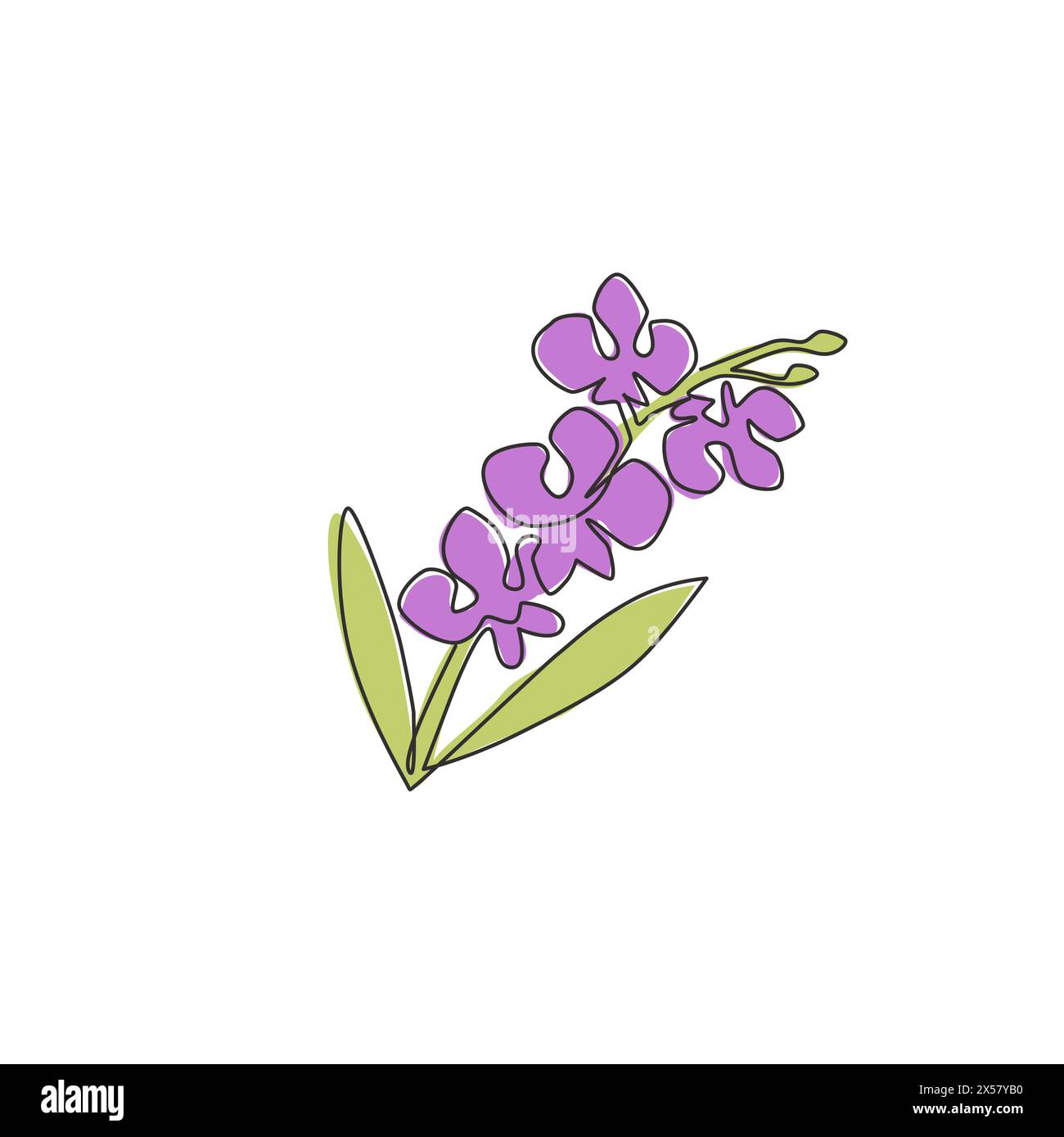 Single continuous line drawing of beauty fresh gladiolus. Printable ...