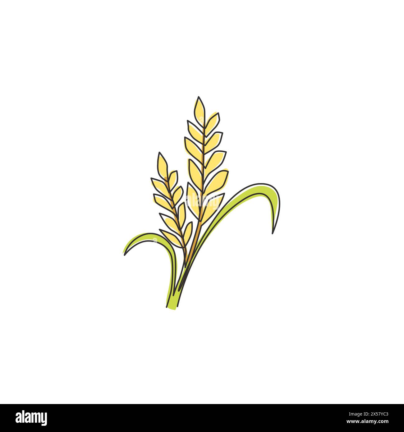 Farm wheat line drawing Cut Out Stock Images & Pictures - Alamy