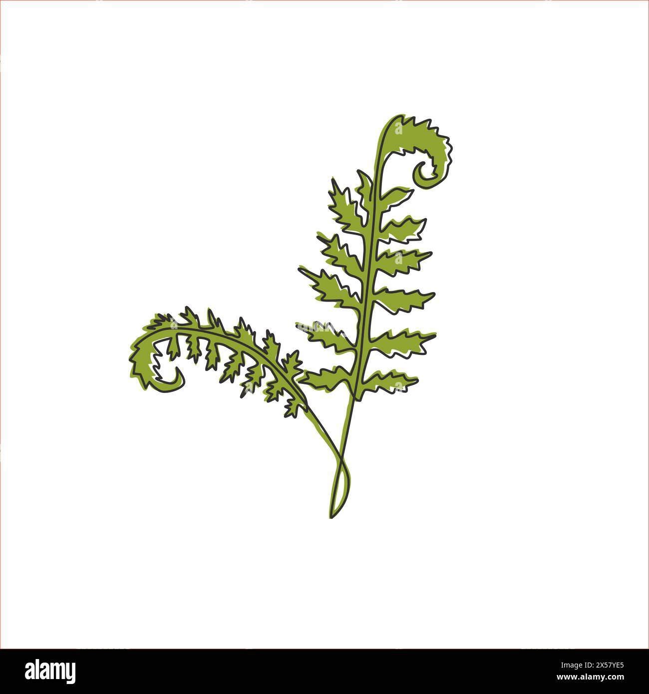 One continuous line drawing of cute tropical leaves fern plant ...