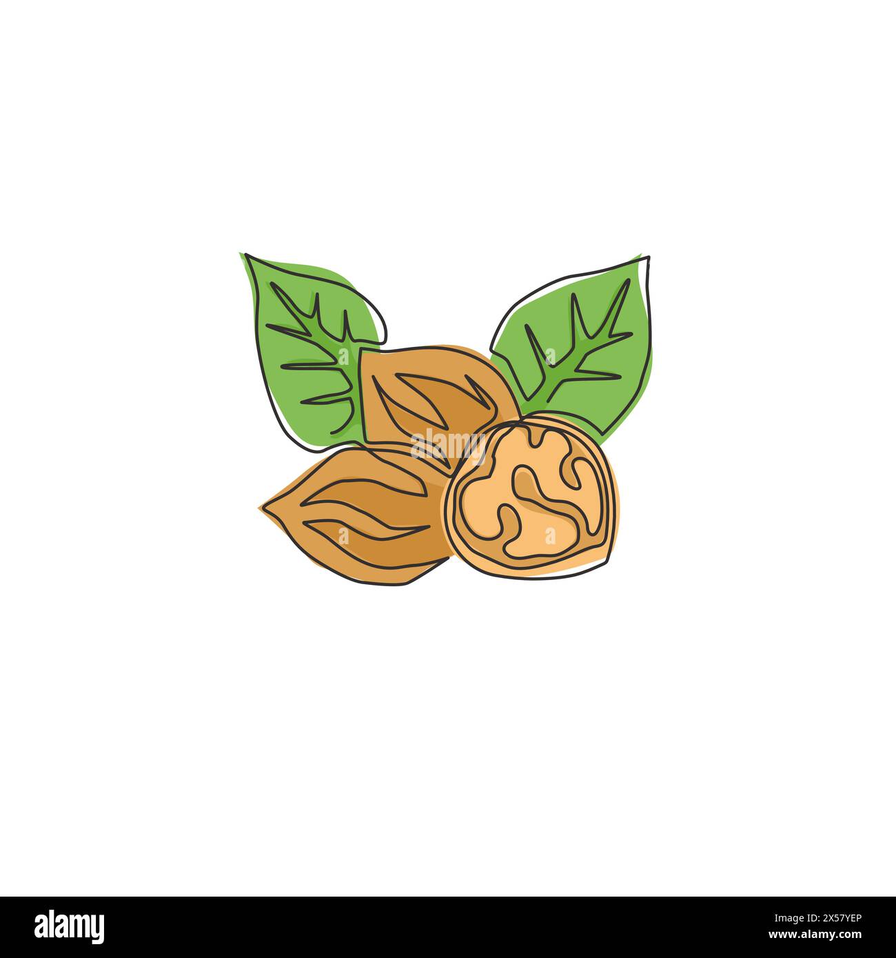 One single line drawing of whole healthy organic walnut food and leaves ...