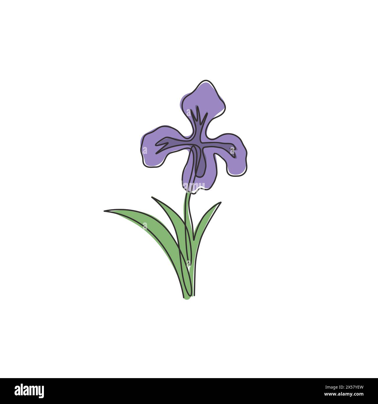 One single line drawing of beauty fresh perennial plants for garden ...