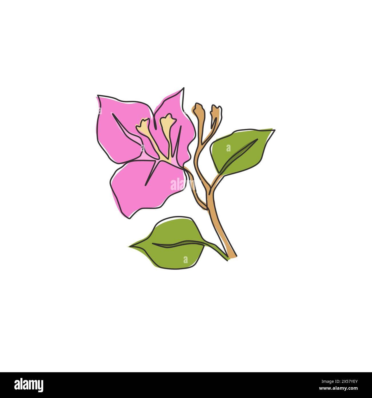 One Continuous Line Drawing Of Beauty Fresh Bougainville For Home Wall