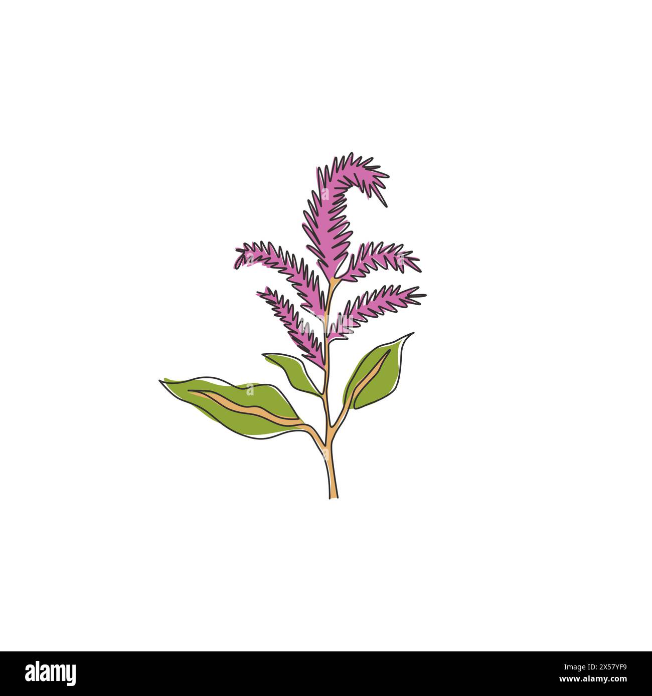 Single one line drawing of beauty fresh amaranthus for garden logo ...