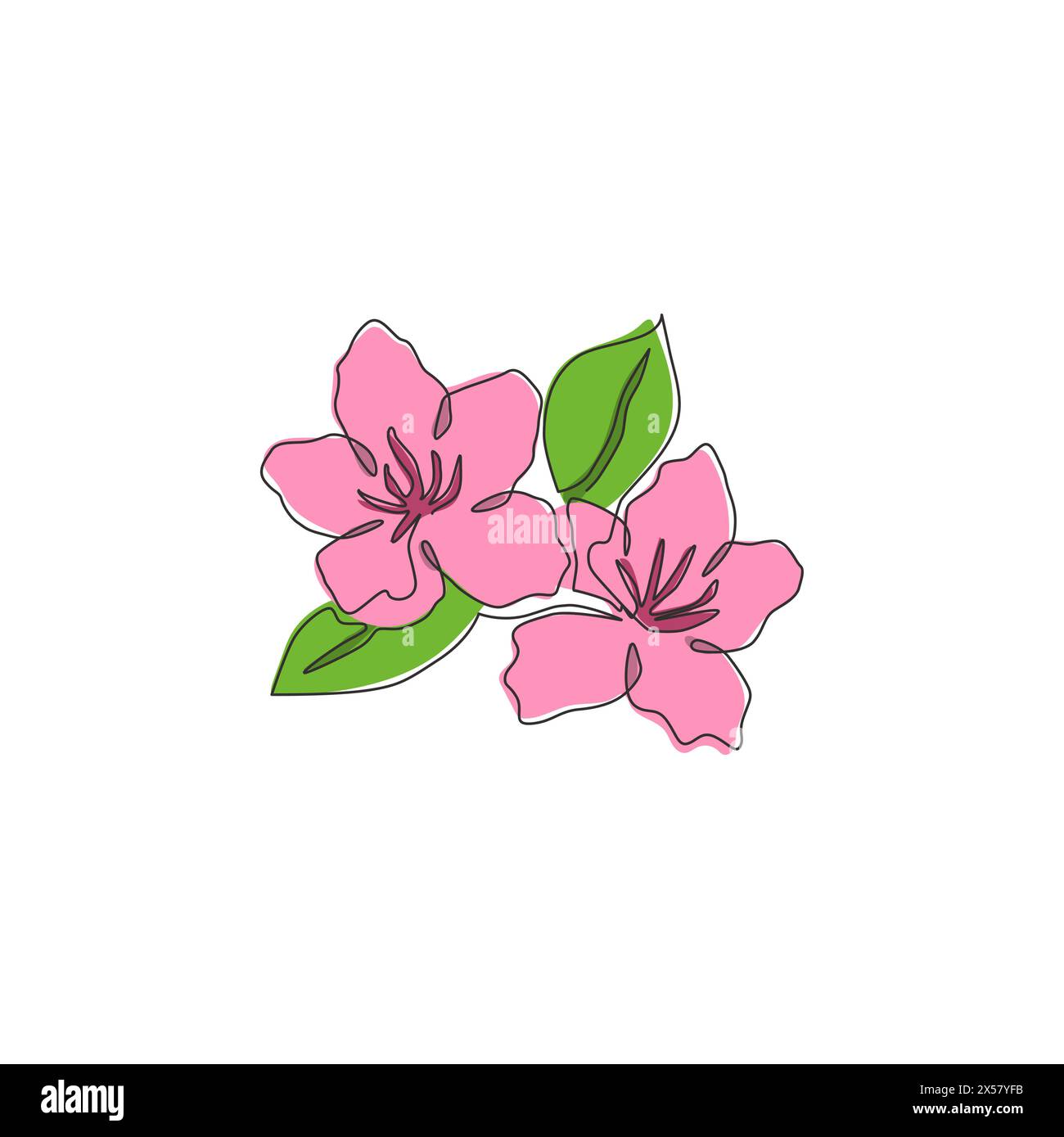 Bush azalea Stock Vector Images - Alamy