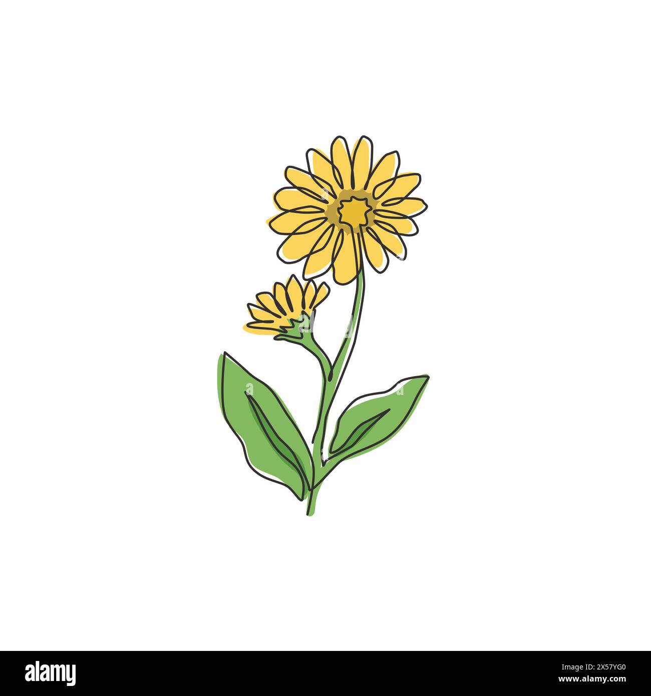 One Continuous Line Drawing Of Beauty Fresh Calendula For Home Decor