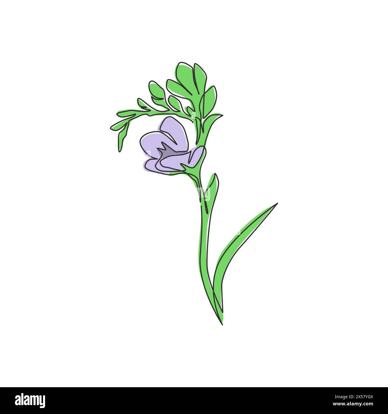 Single One Line Drawing Of Beauty Fresh Freesia For Garden Logo