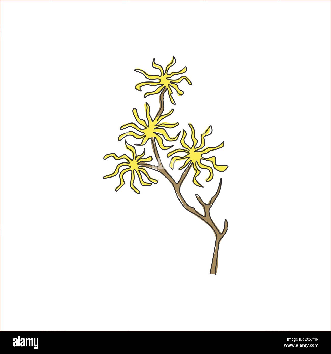 One Continuous Line Drawing Beauty Fresh Witch Hazels For Home Art Wall