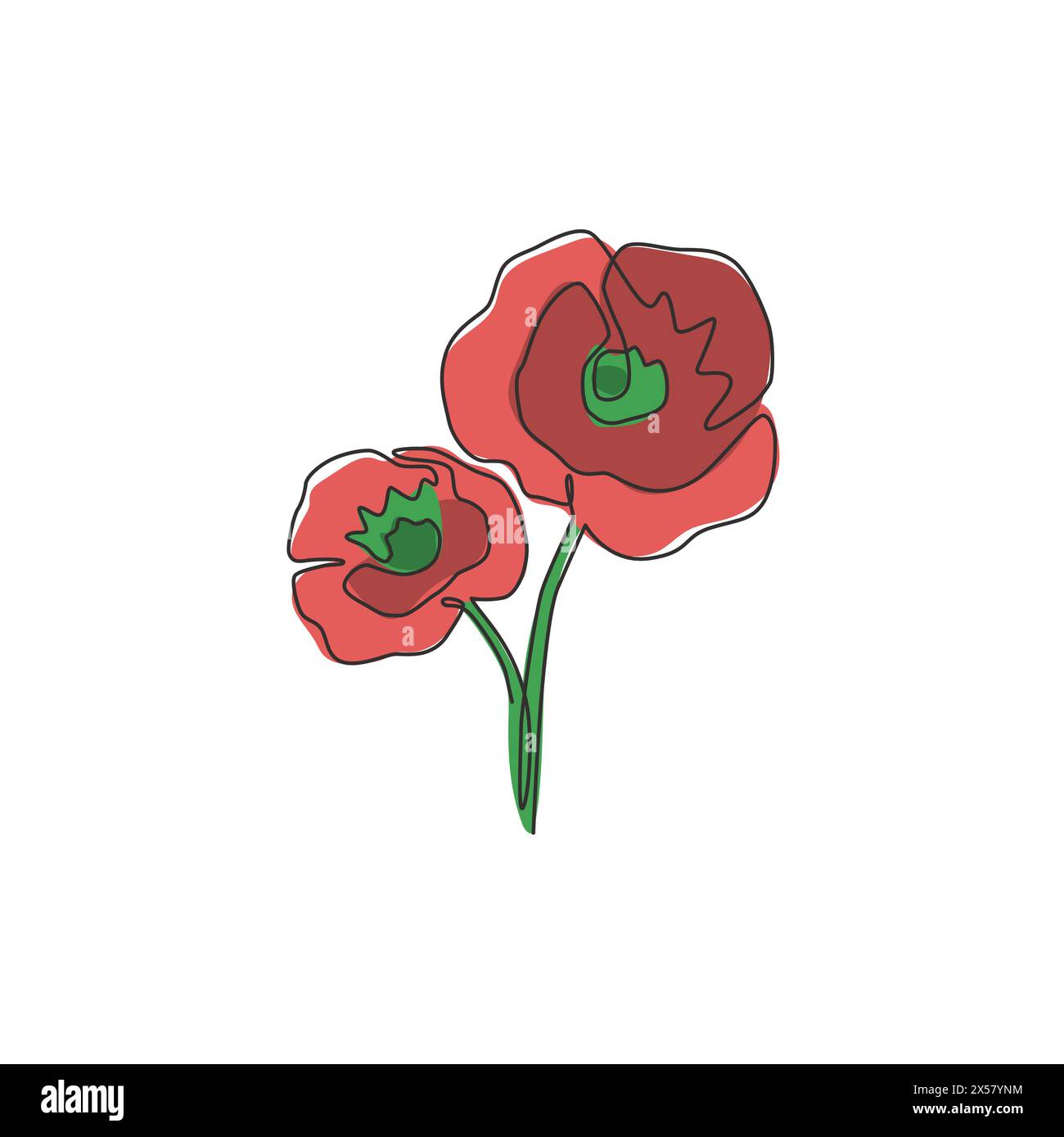 Single Continuous Line Drawing Beauty Fresh Herbaceous Plant For Garden