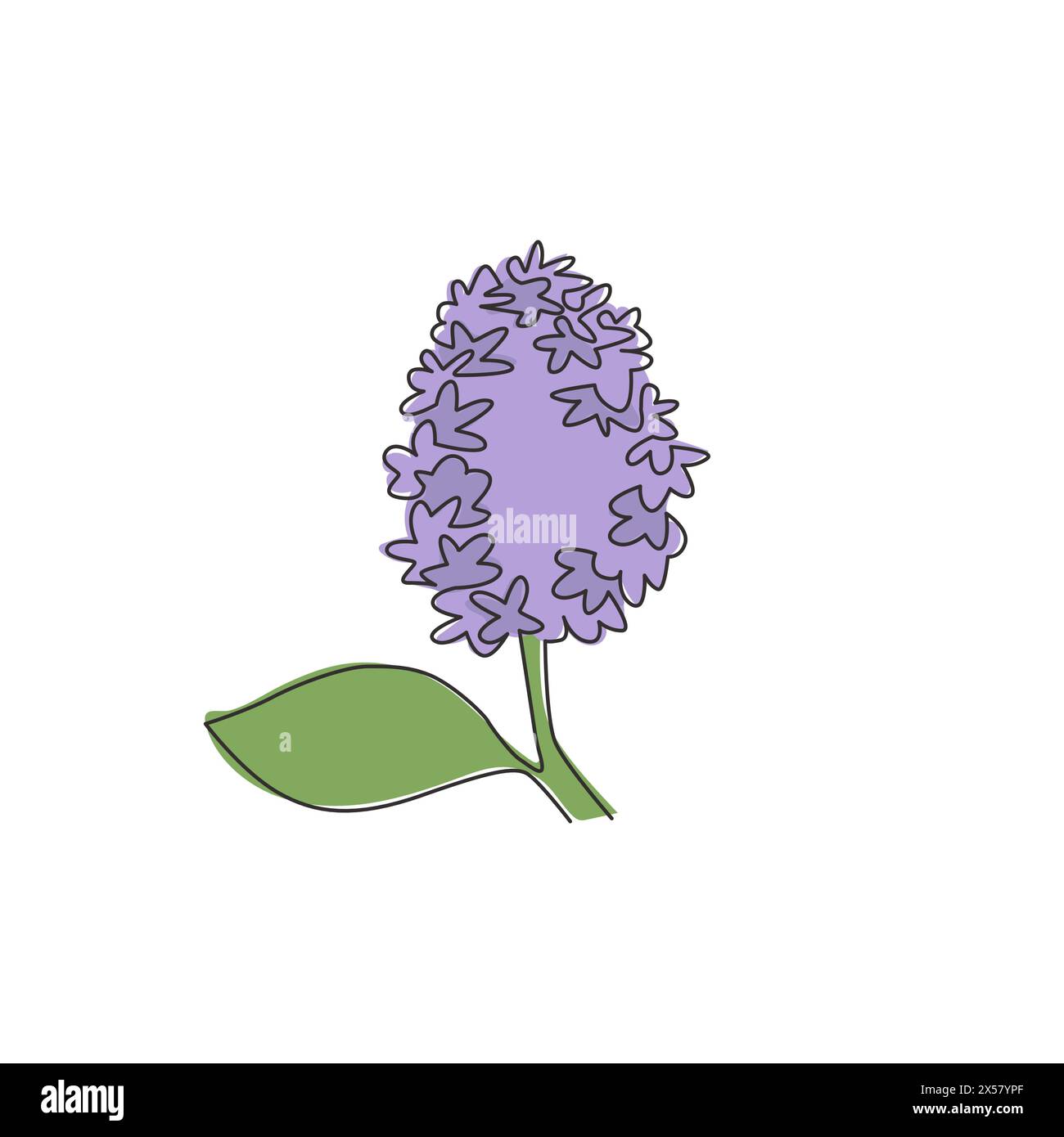 Single Continuous Line Drawing Beauty Fresh Syringa Vulgaris For Home
