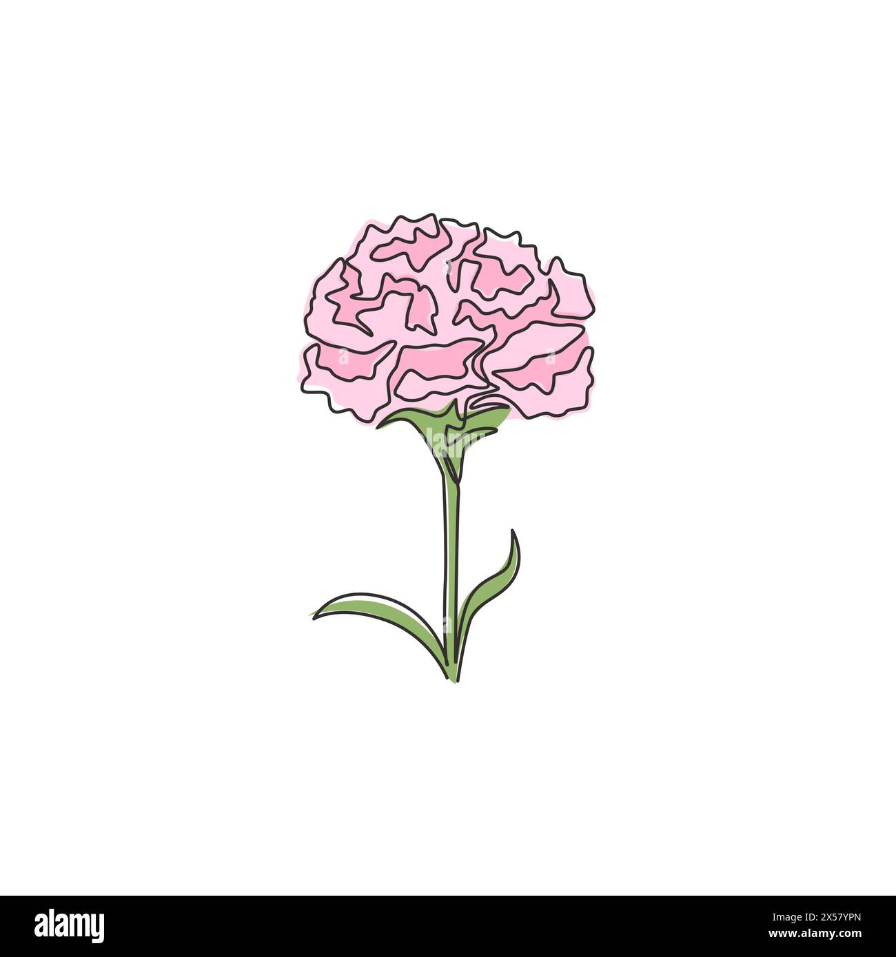 Single clove Stock Vector Images - Alamy