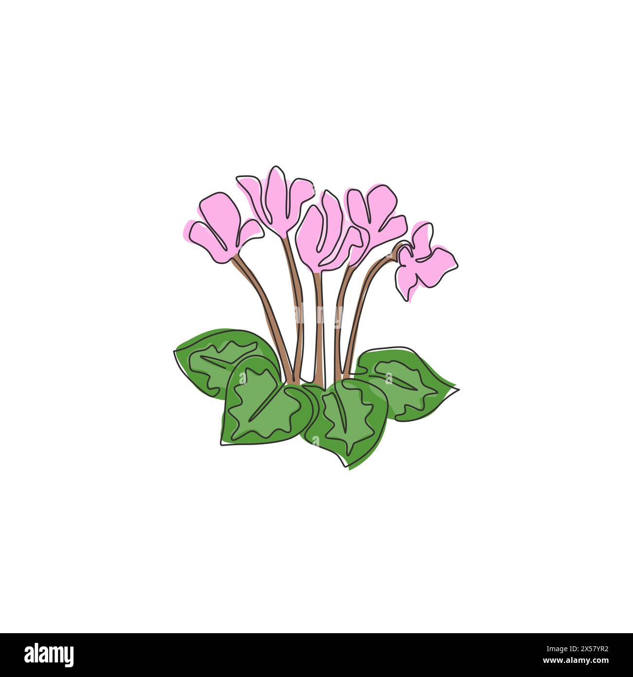Sowbread Stock Vector Images - Alamy