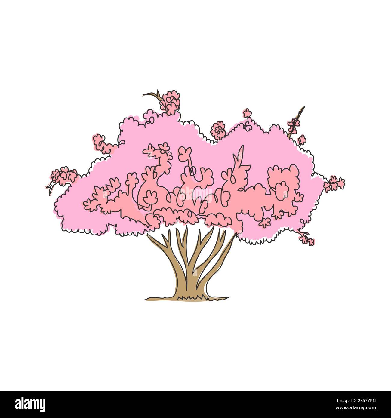 Single cherry blossom branch Stock Vector Images - Alamy