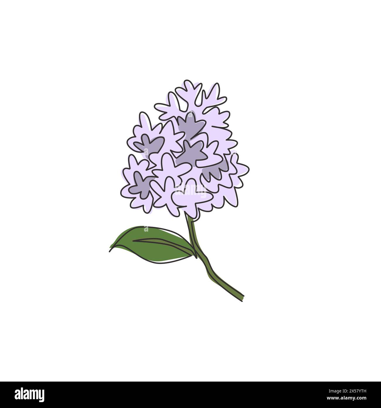 One Continuous Line Drawing Beauty Fresh Syringa Vulgaris For Garden