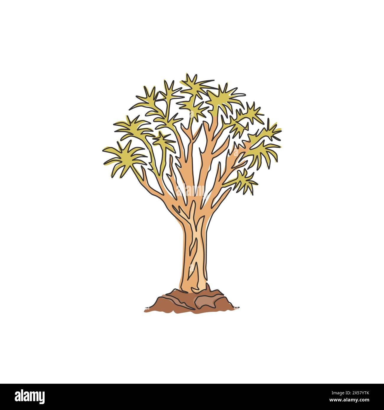 One Continuous Line Drawing Of Quiver Tree Forest Decorative Kokerboom