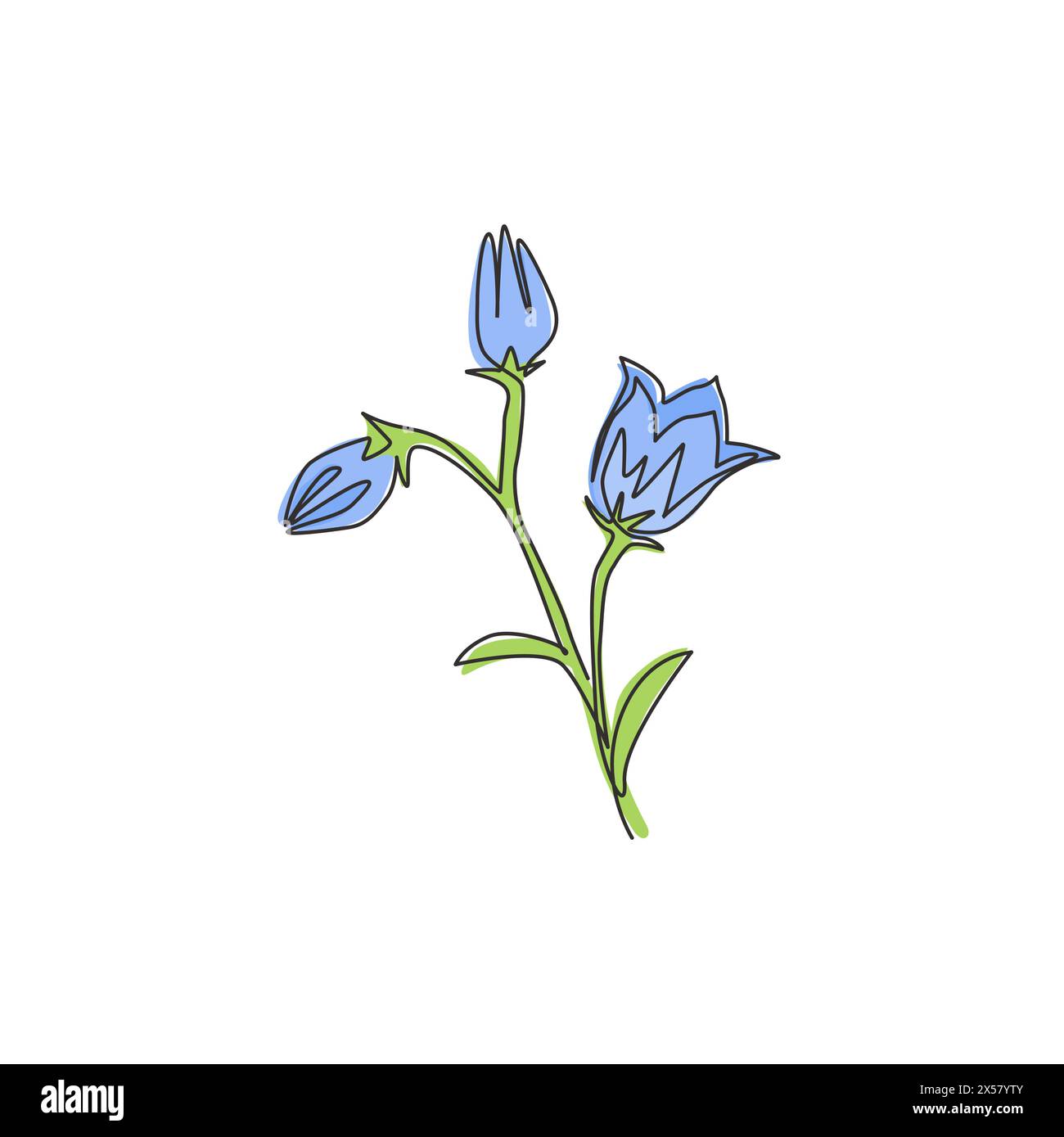 Single Continuous Line Drawing Beauty Fresh Perenial Plant For Home Art