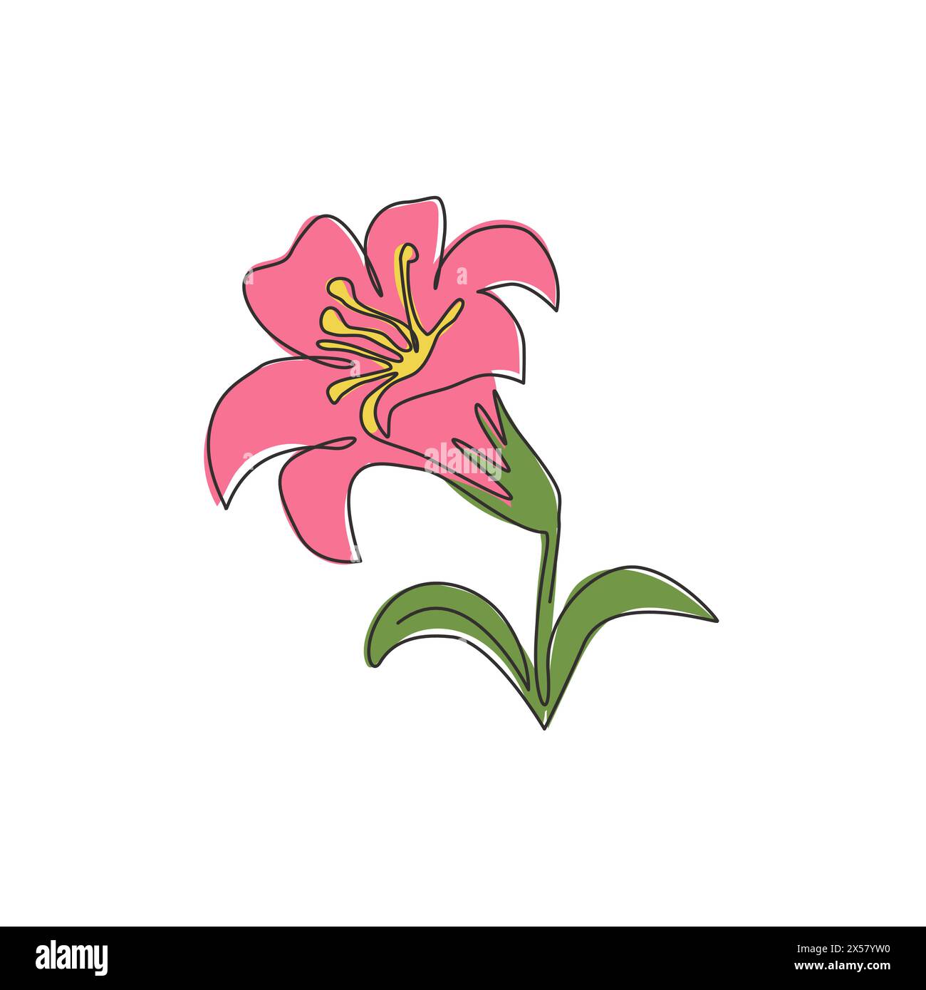 Single Continuous Line Drawing Of Beauty Fresh Perennial Lilium For
