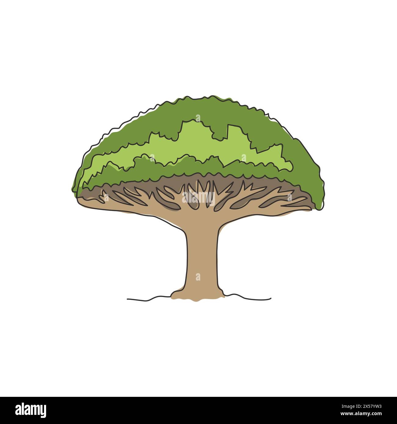 Socotra flora Stock Vector Images - Alamy