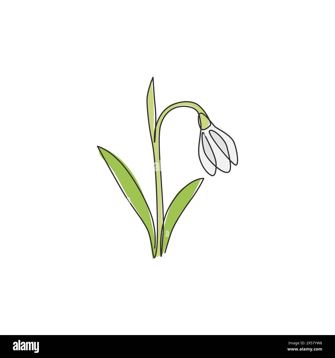 One Continuous Line Drawing Of Beauty Fresh Galanthus For Home Wall